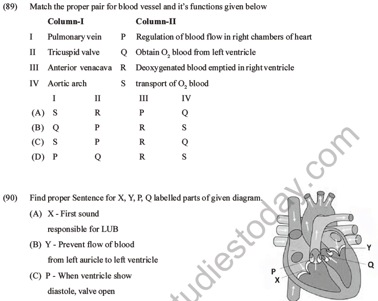NEET Biology Body Fluids and Circulation MCQs Set B with Answers